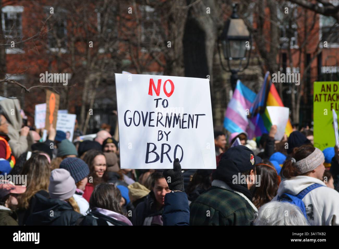 Anti-DOGE sign at a International Women's Day event in Washington ...