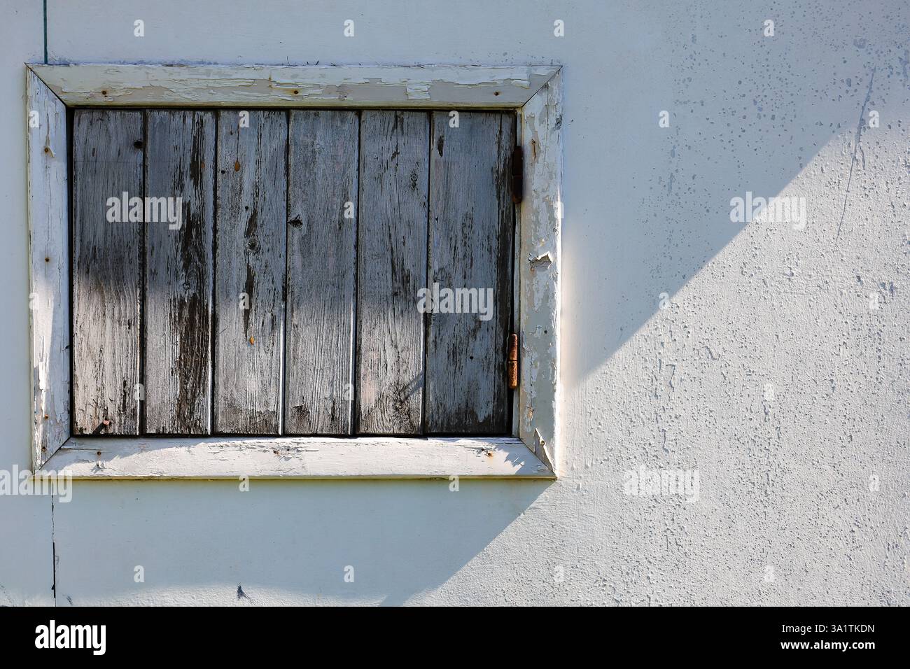 An old wooden window shutter with peeling paint on a white textured ...