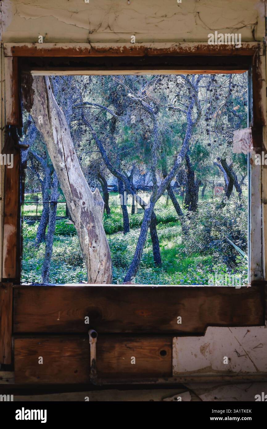Aged Wooden Window with Peeling Paint on Weathered Wall looking on ...