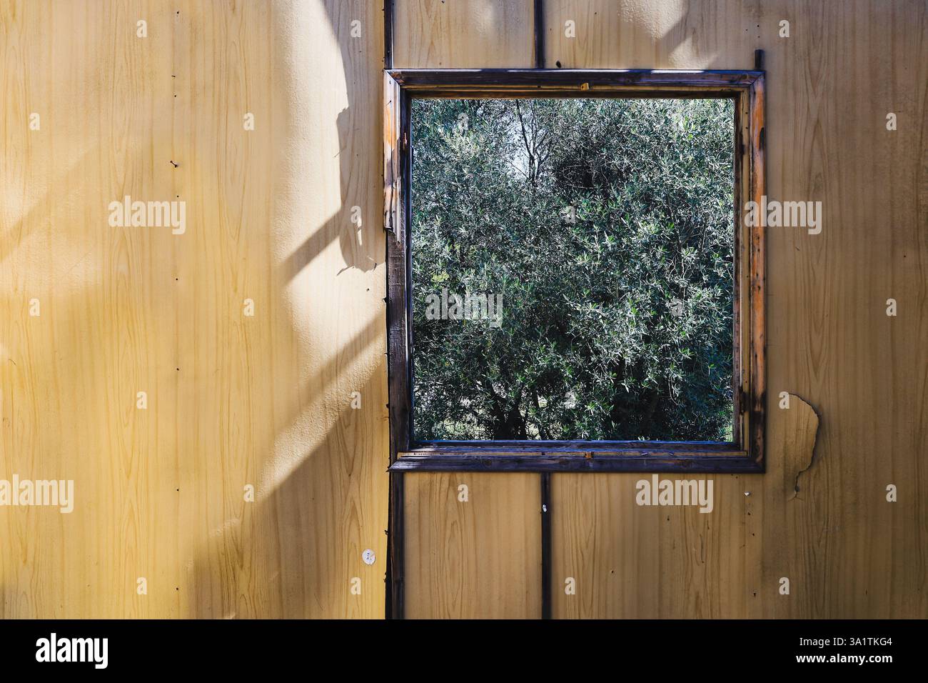 close-up of an old wooden Window frame on dilapidated wall reveals ...