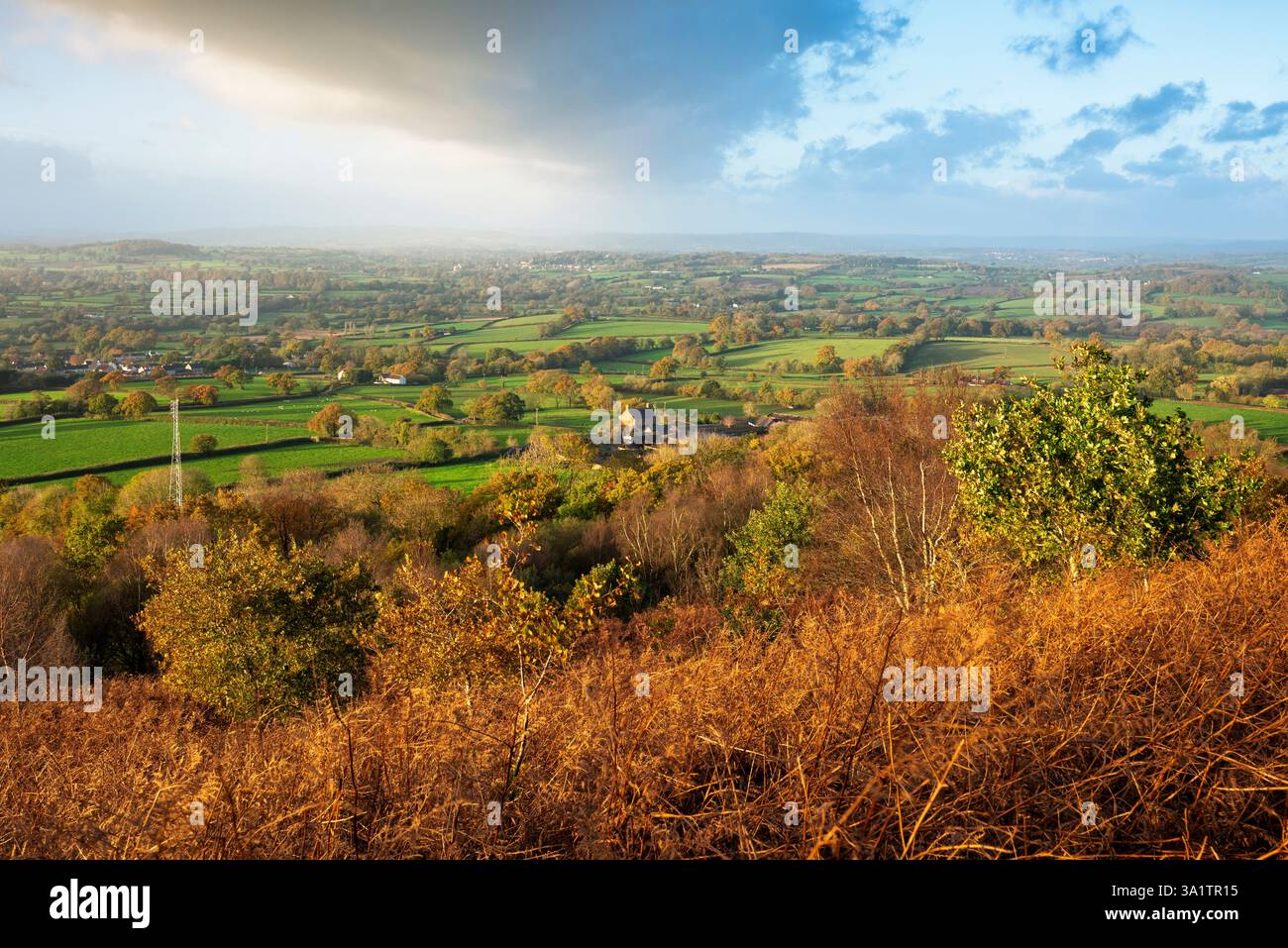 Autumn colour in the Culm Valley from Culmstock Beacon in the Blackdown ...