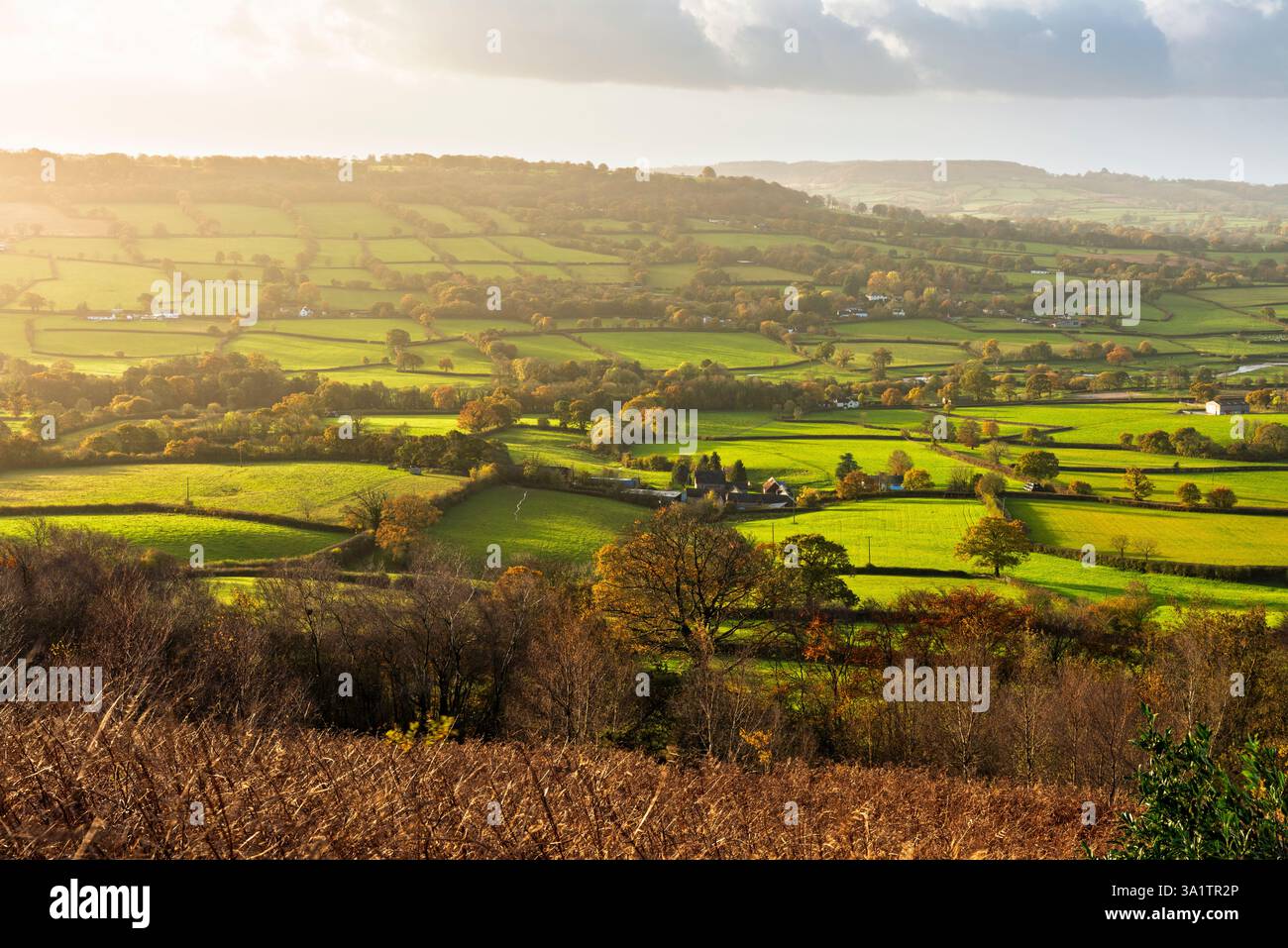 Autumn colour in the Culm Valley from Culmstock Beacon in the Blackdown ...