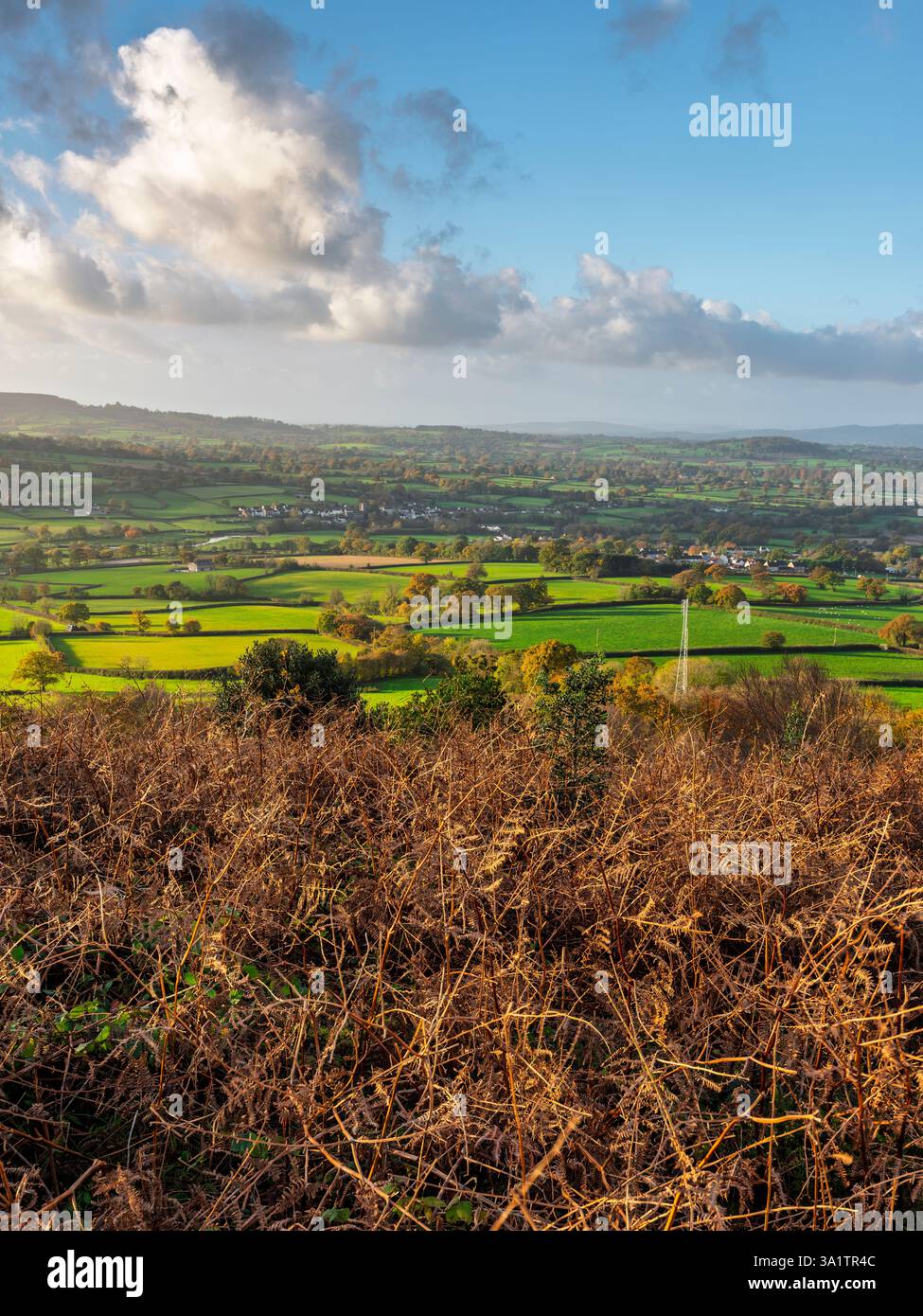 The village of Culmstock in the Culm Valley from Culmstock Beacon in the Blackdown Hills ...