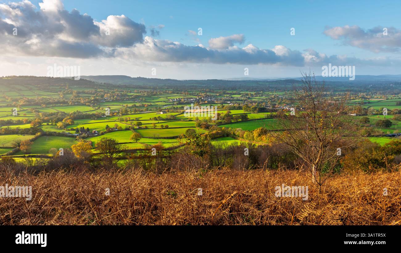 The village of Culmstock in the Culm Valley from Culmstock Beacon in ...