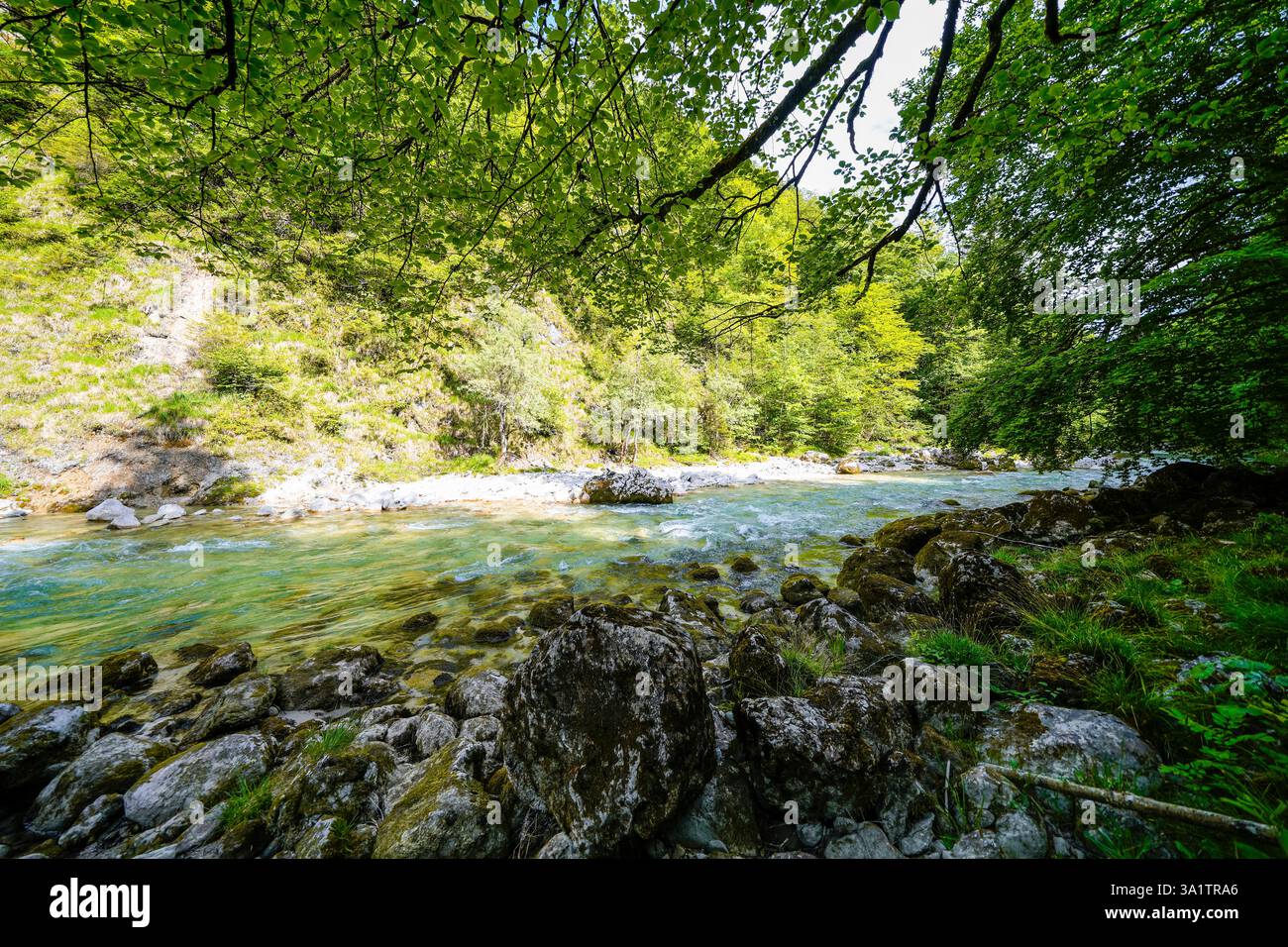 Nature in the Tiefenbachklamm between Kramsach and Brandenberg ...