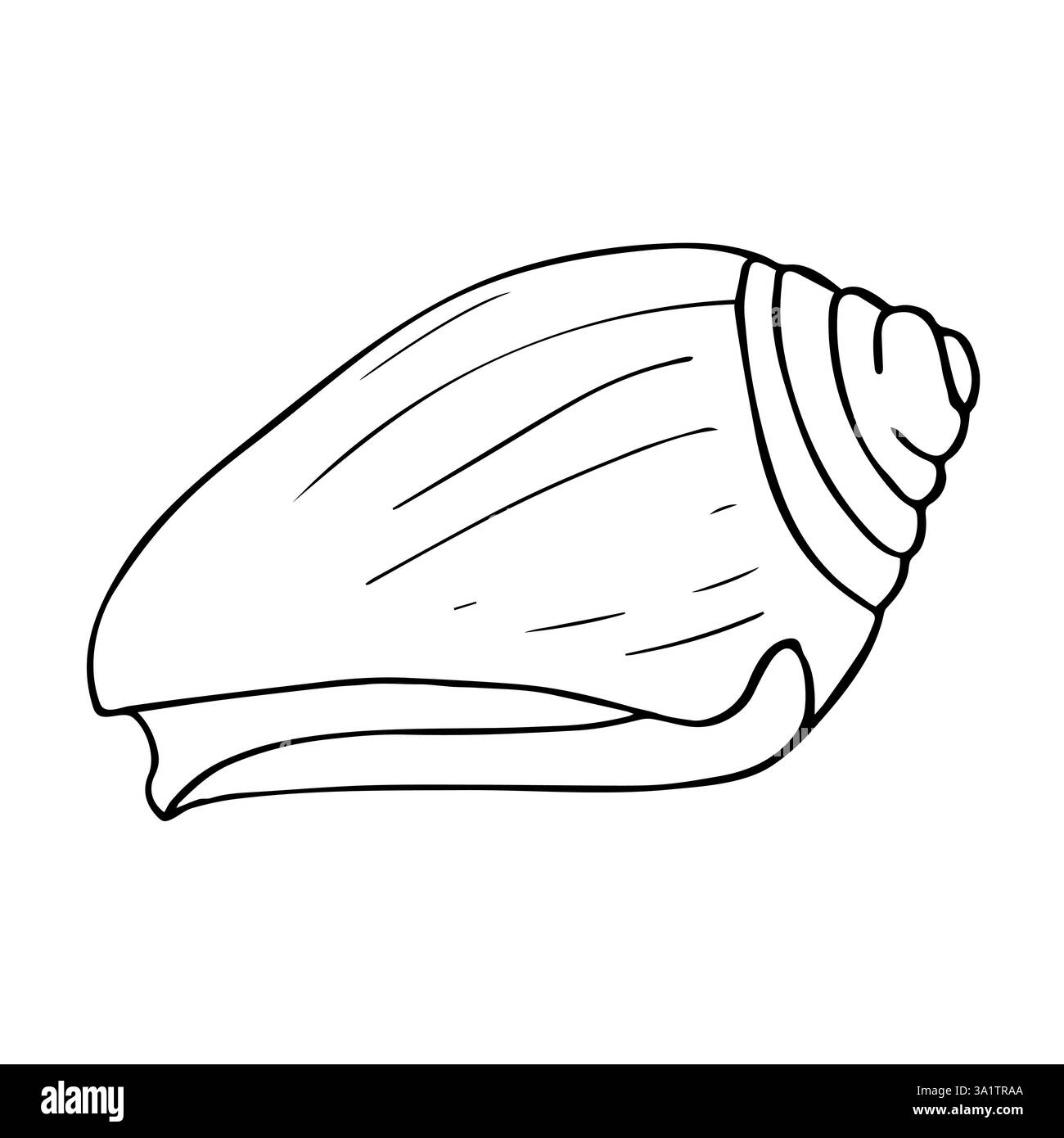 Hand drawn shellfish for marine and nautical themed designyster. Hand ...