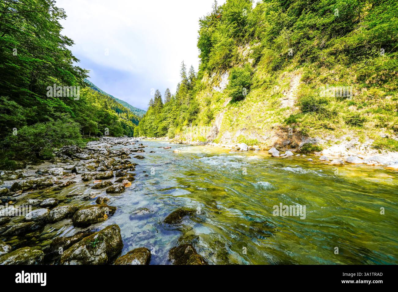 Nature in the Tiefenbachklamm between Kramsach and Brandenberg ...