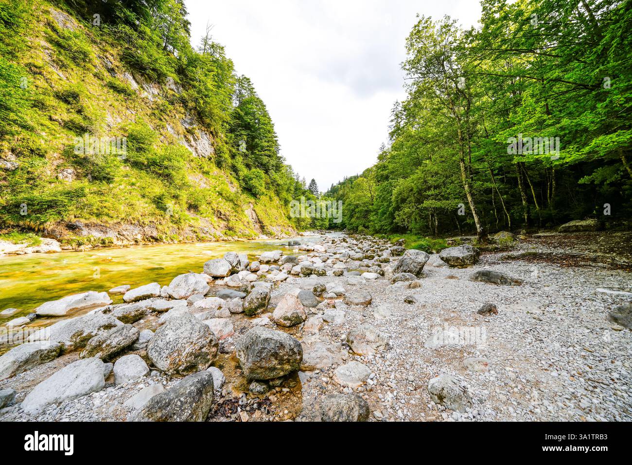 Nature in the Tiefenbachklamm between Kramsach and Brandenberg ...