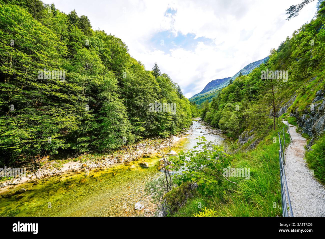 Nature in the Tiefenbachklamm between Kramsach and Brandenberg ...
