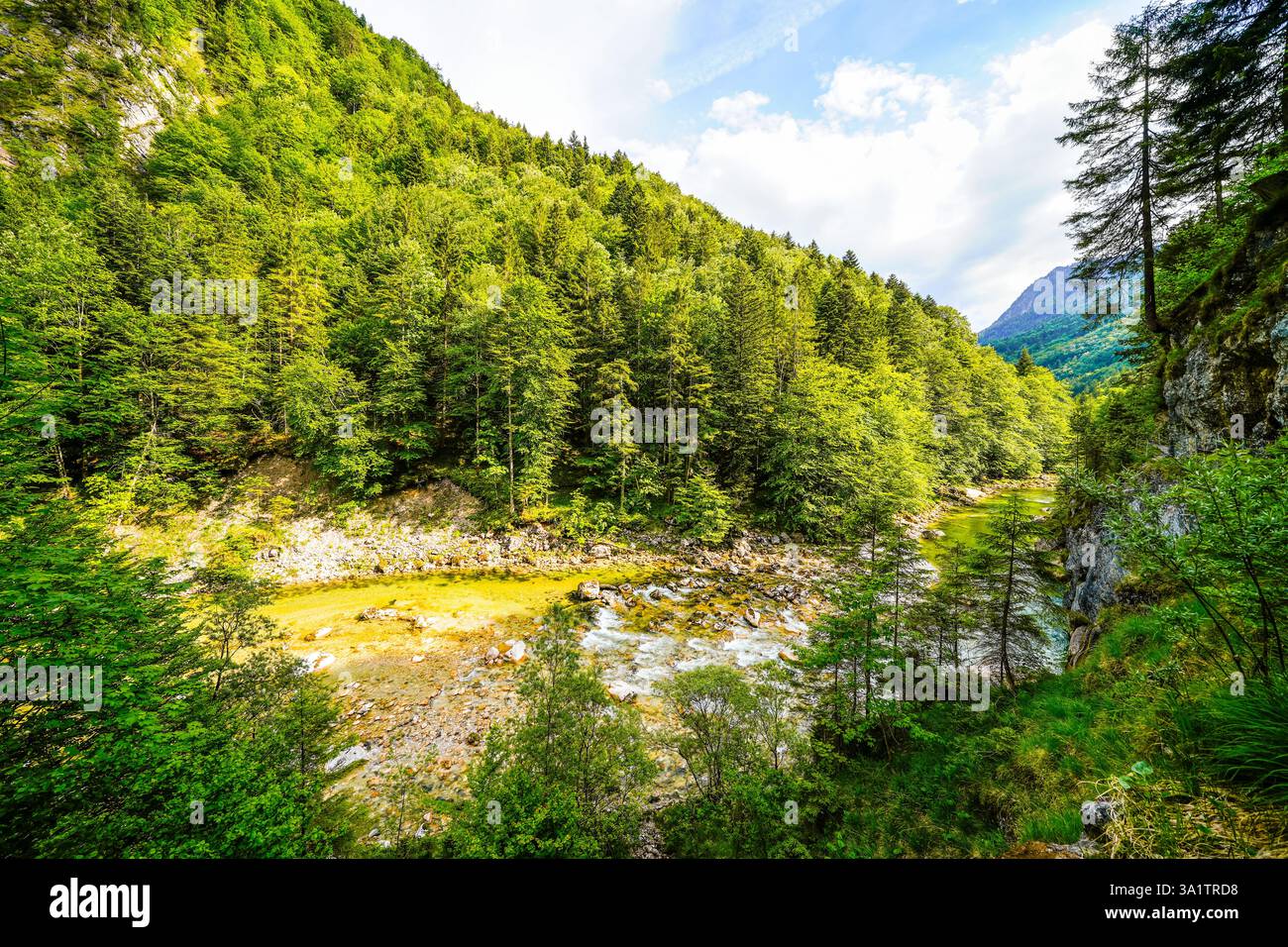 Nature in the Tiefenbachklamm between Kramsach and Brandenberg ...