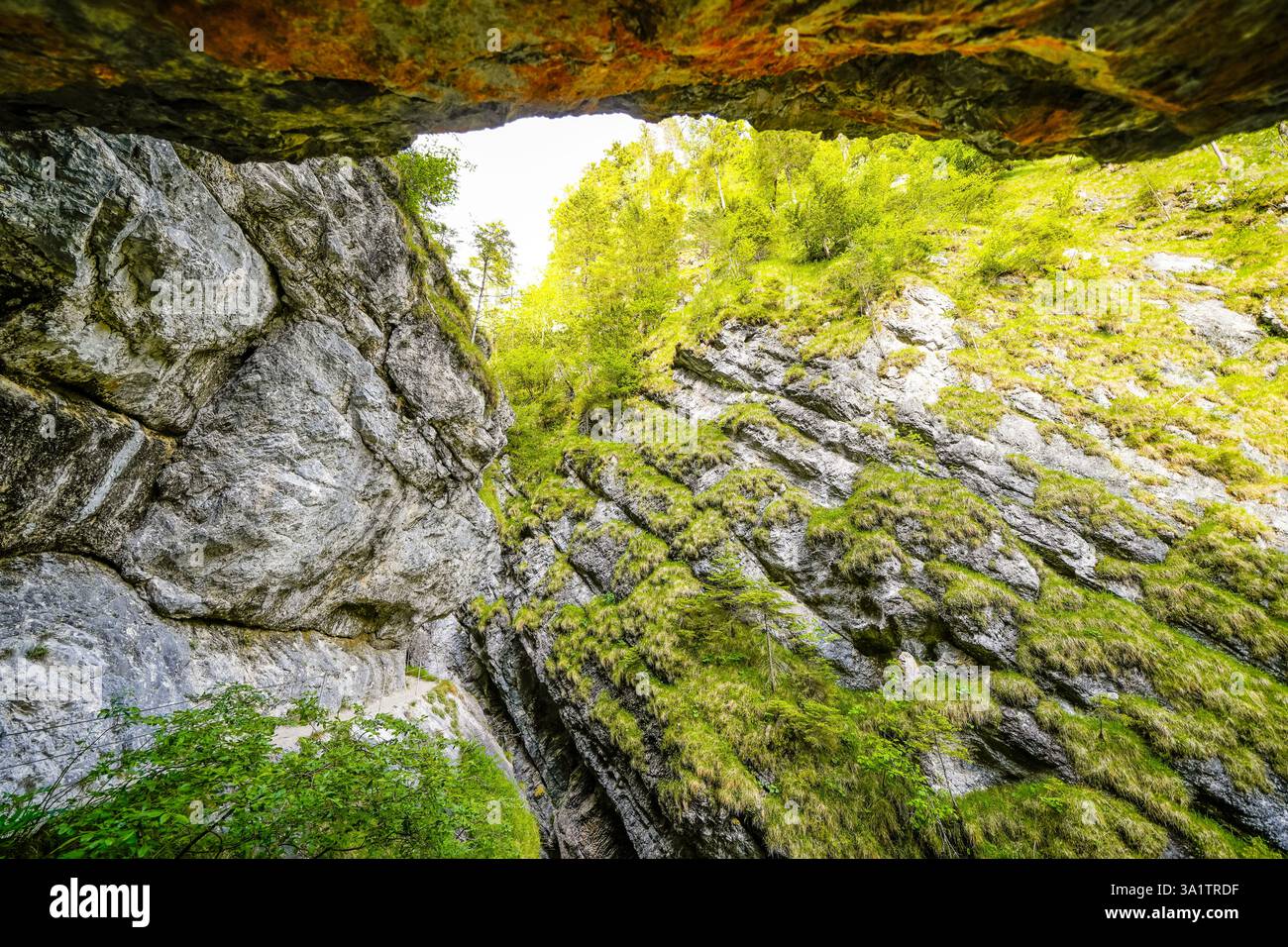 Nature in the Tiefenbachklamm between Kramsach and Brandenberg ...