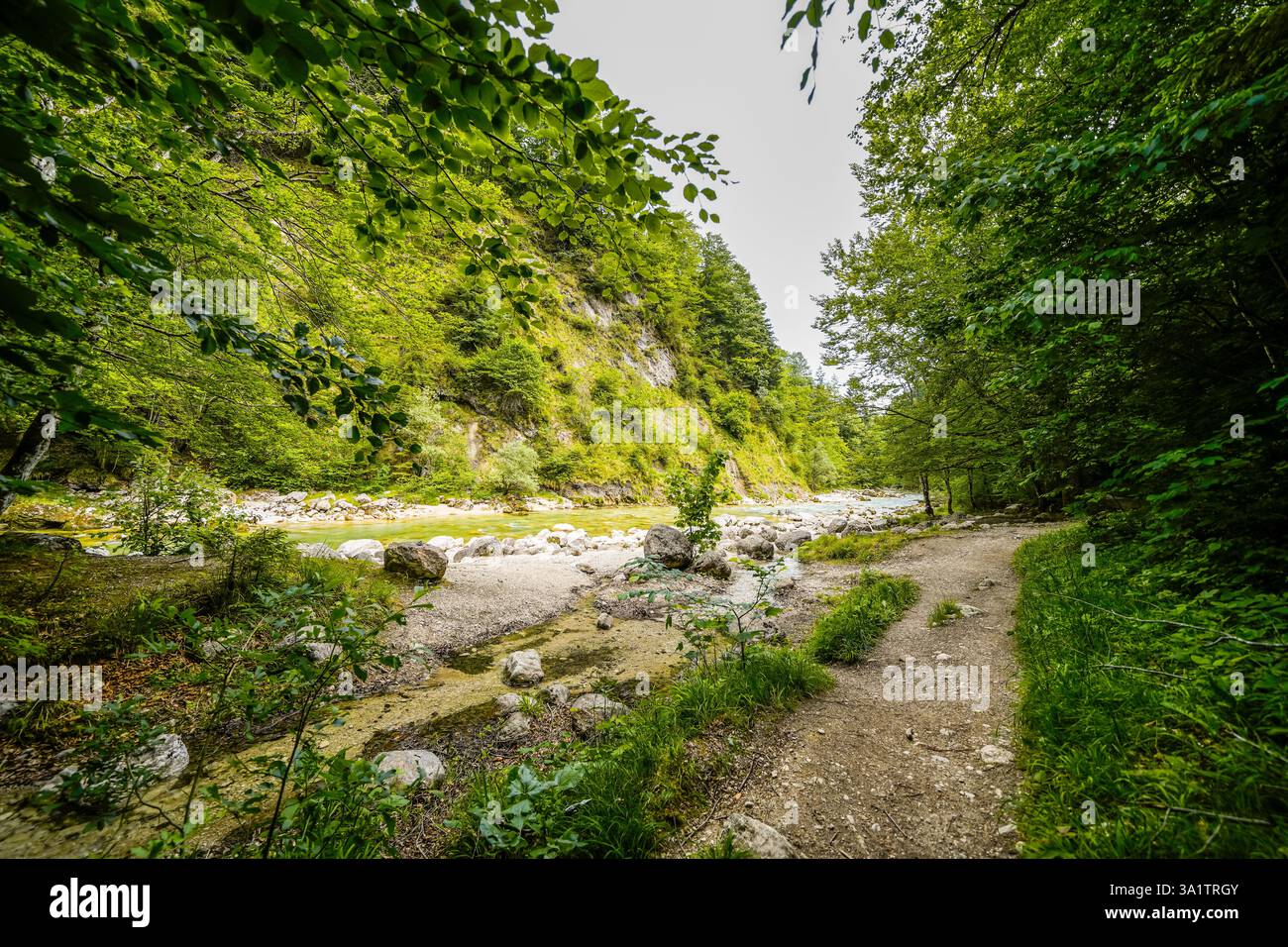 Nature in the Tiefenbachklamm between Kramsach and Brandenberg ...
