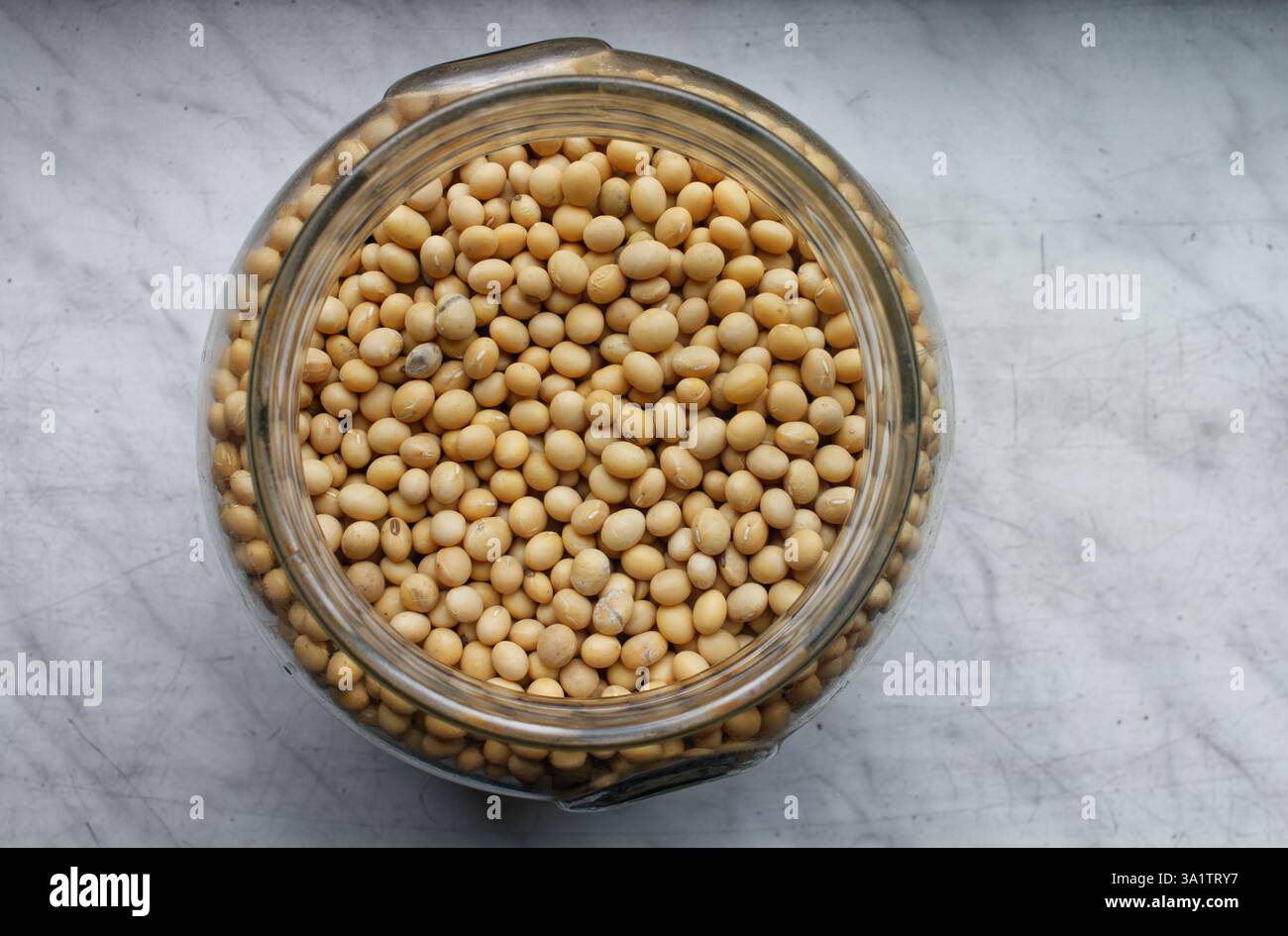 Growing beans in jar hi-res stock photography and images - Alamy
