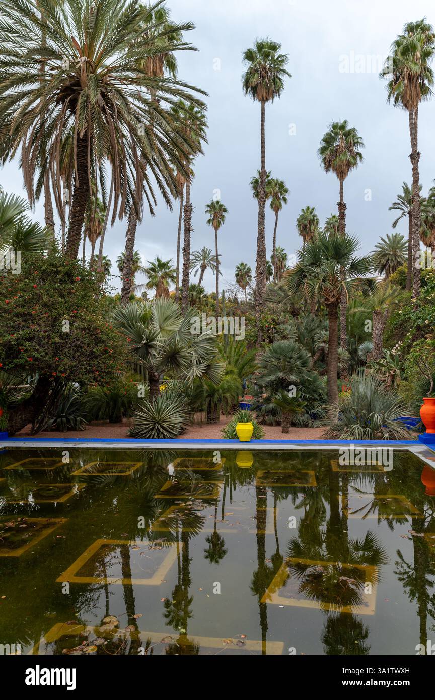 Lush garden filled with palm trees and colorful pots located in Morocco ...