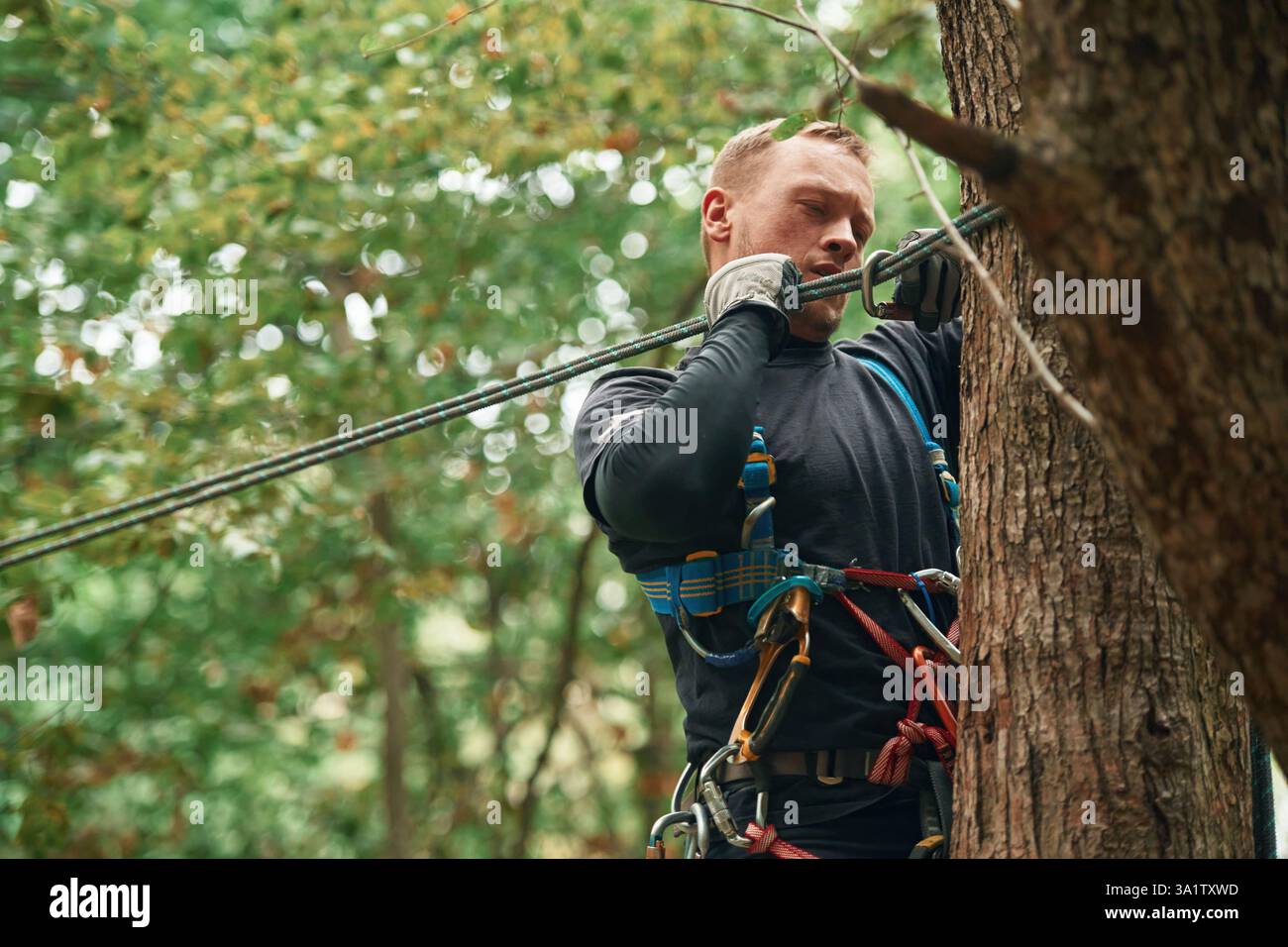 Process of preparing. Man is doing climbing in the forest by use of ...