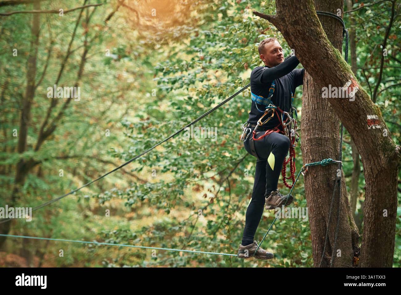 Process of preparing. Man is doing climbing in the forest by use of ...
