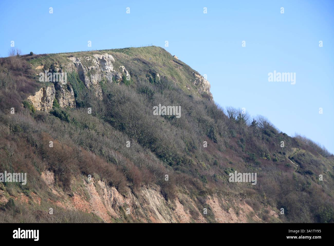 Cliff Axmouth Harbour in the Spring of the Year Devon England uk Stock ...