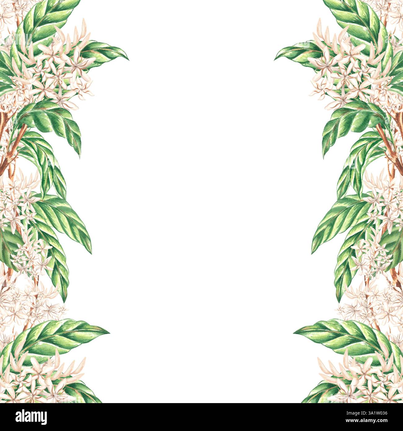 White flowers on sprigs with green leaves. Postcard template with copy ...