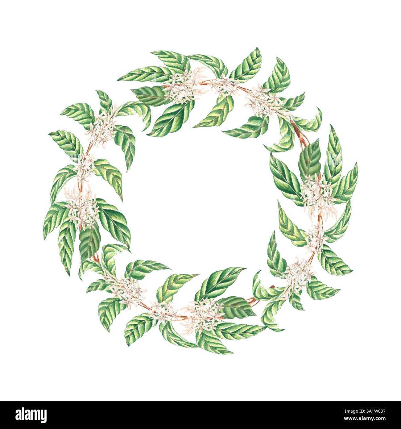 White flowers on sprigs with green leaves. Wreath, round frame with ...