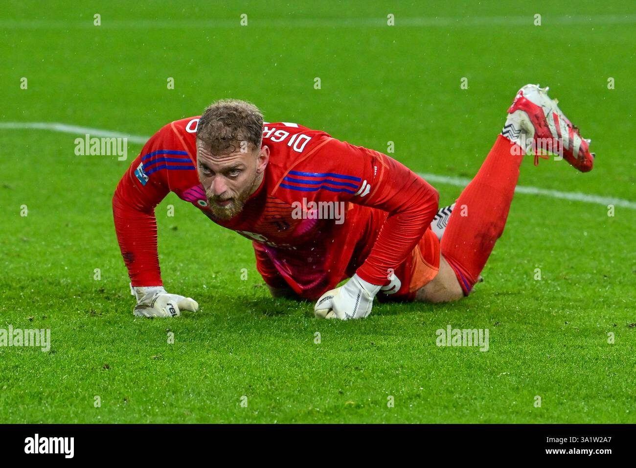 Turin, Italy. 09th, March 2025. Goalkeeper Michele Di Gregorio (29) of ...