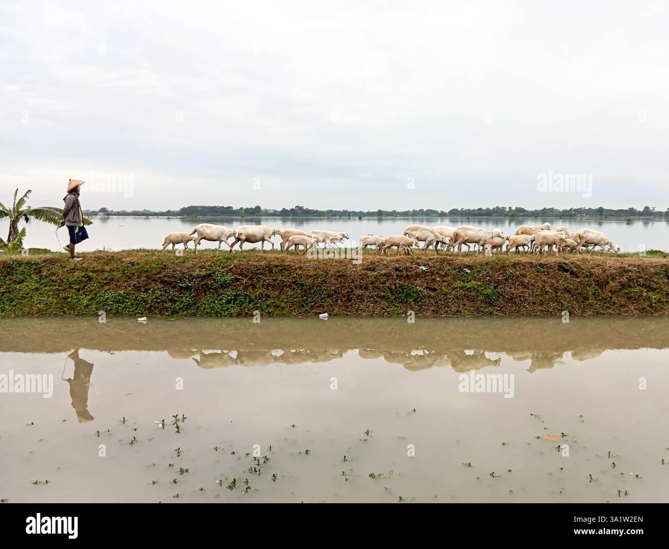 (250310)--GROBOGAN, March 10, 2025--(Xinhua)-- This photo taken with a ...