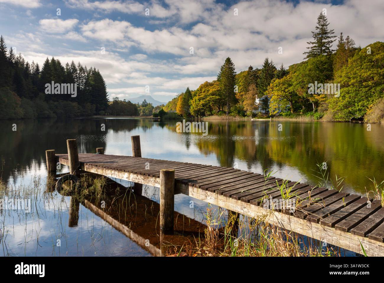 Wooden jetty on Loch Ard in the Loch Lomond and the Trossachs National ...