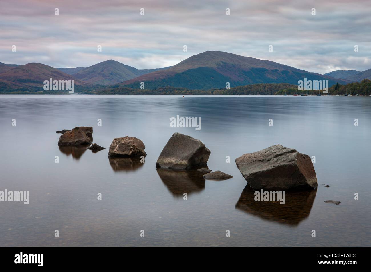 Rocks on the shores of Loch Lomond, Scotland, UK Stock Photo - Alamy
