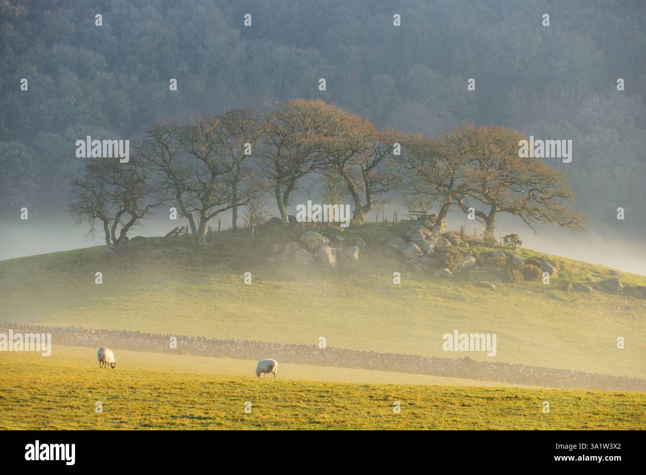 Hartland hill rocks hi-res stock photography and images - Alamy