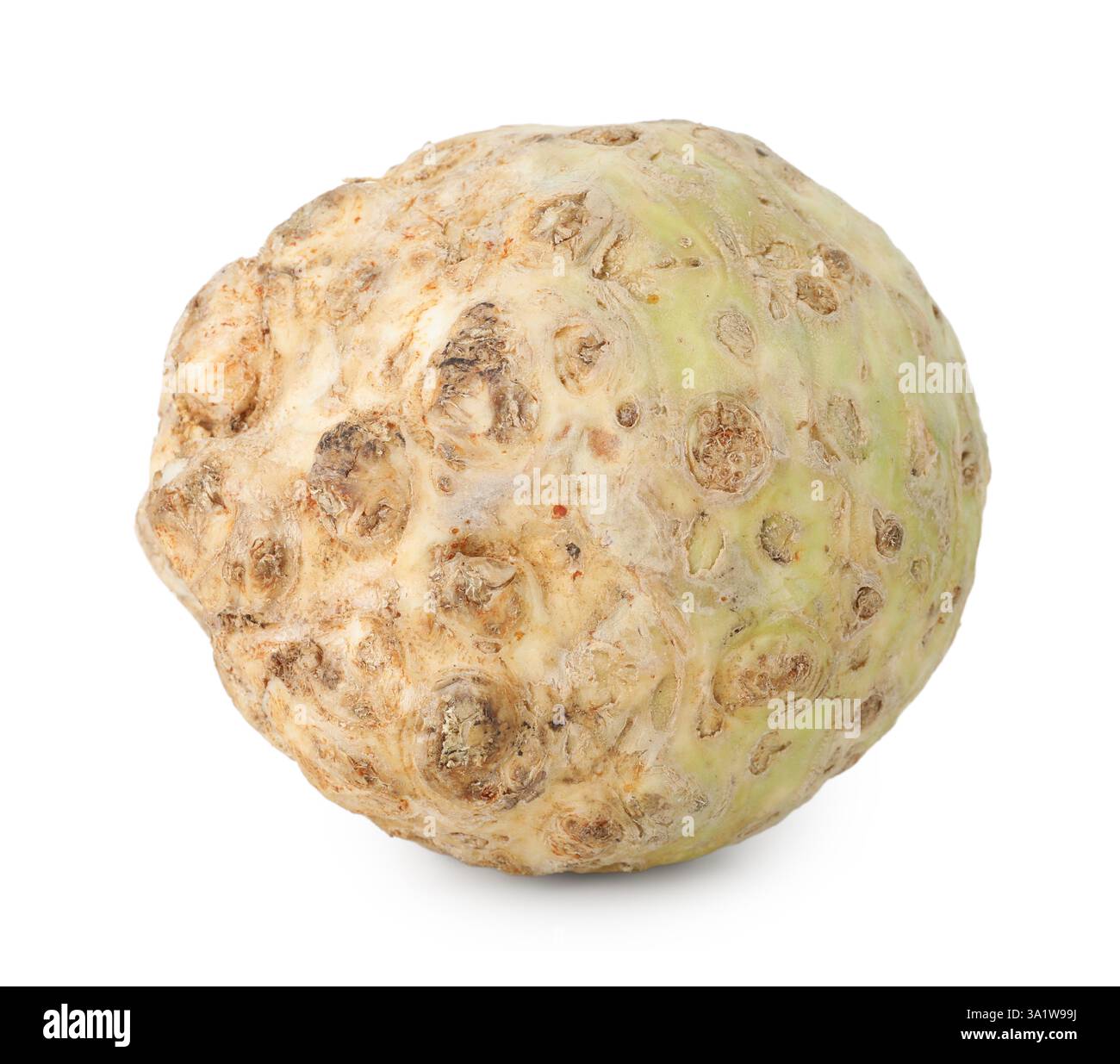One fresh celery root isolated on white Stock Photo - Alamy