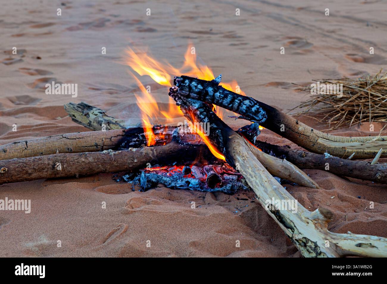 Camp fire in the sahara desert Stock Photo - Alamy
