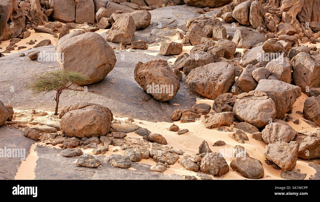 The Rocks and Gorge of the Sahara Desert in Algeria Stock Photo - Alamy