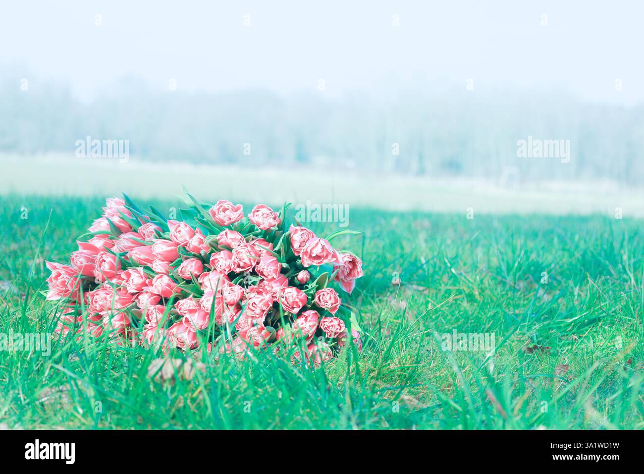 Field flowers tall grass hi-res stock photography and images - Alamy
