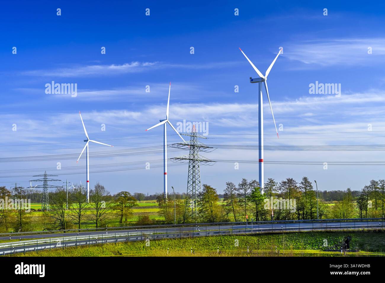 Windräder und Strommasten in Curslack, Hamburg, Deutschland *** Wind ...