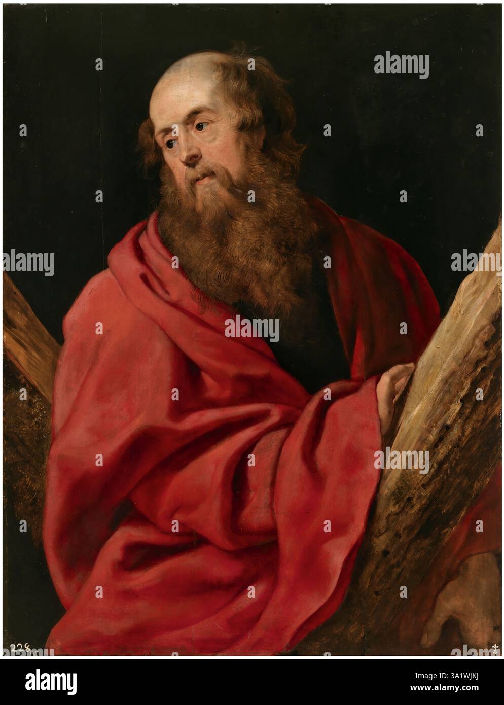 Peter Paul Rubens - The Apostle Andrew Stock Photo - Alamy