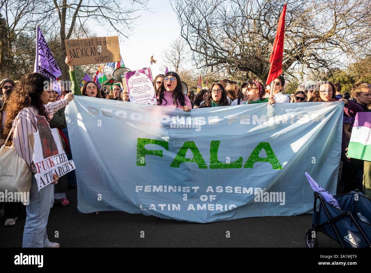Feminist Assembly of Latin America, FALA, International Women's Day ...