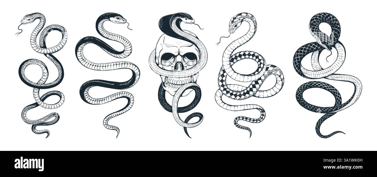 Snake tattoo. Cobra art sketch, serpent or viper python etching ...