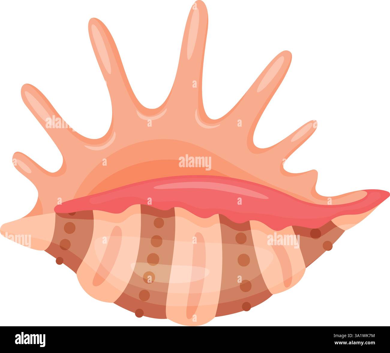 Spider Conch Seashell. Hand drawn trendy flat style isolated icon on a ...