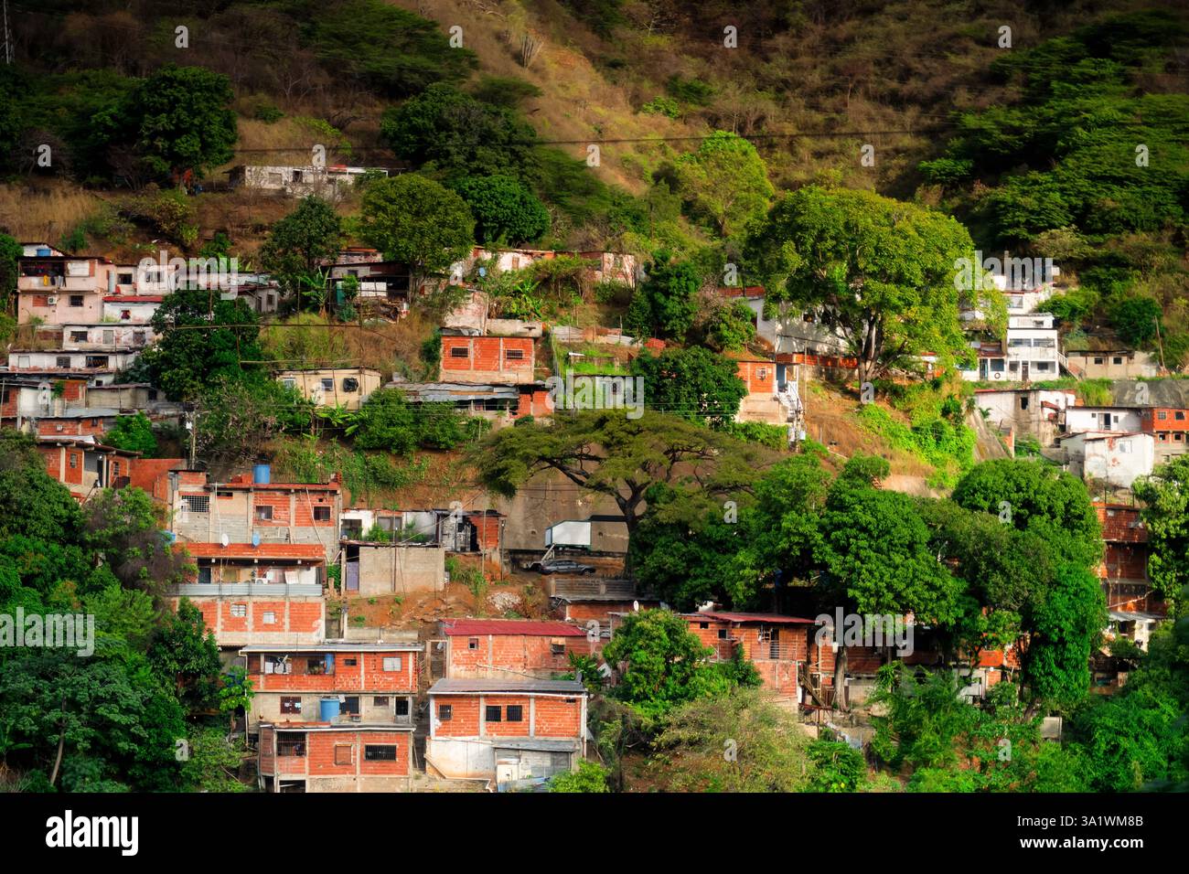 Barrios, slums districts in the Venezuelan capital Caracas. Houses on ...