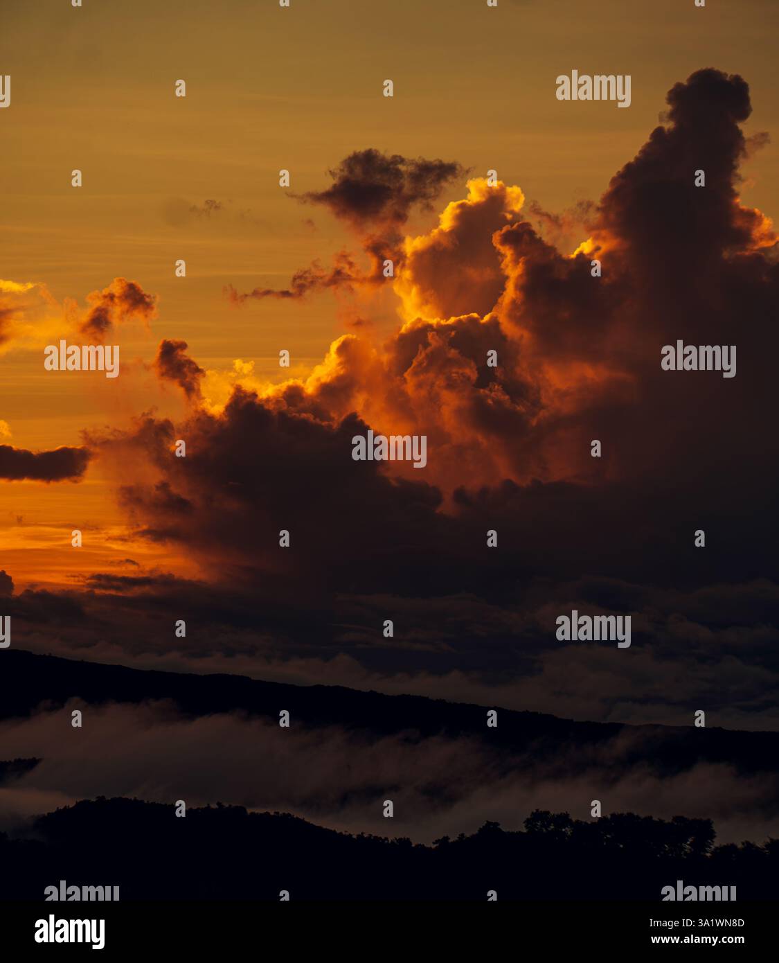 A warm sunset landscape with mountains surrounded by a sea of clouds, resembling a vibrant ...