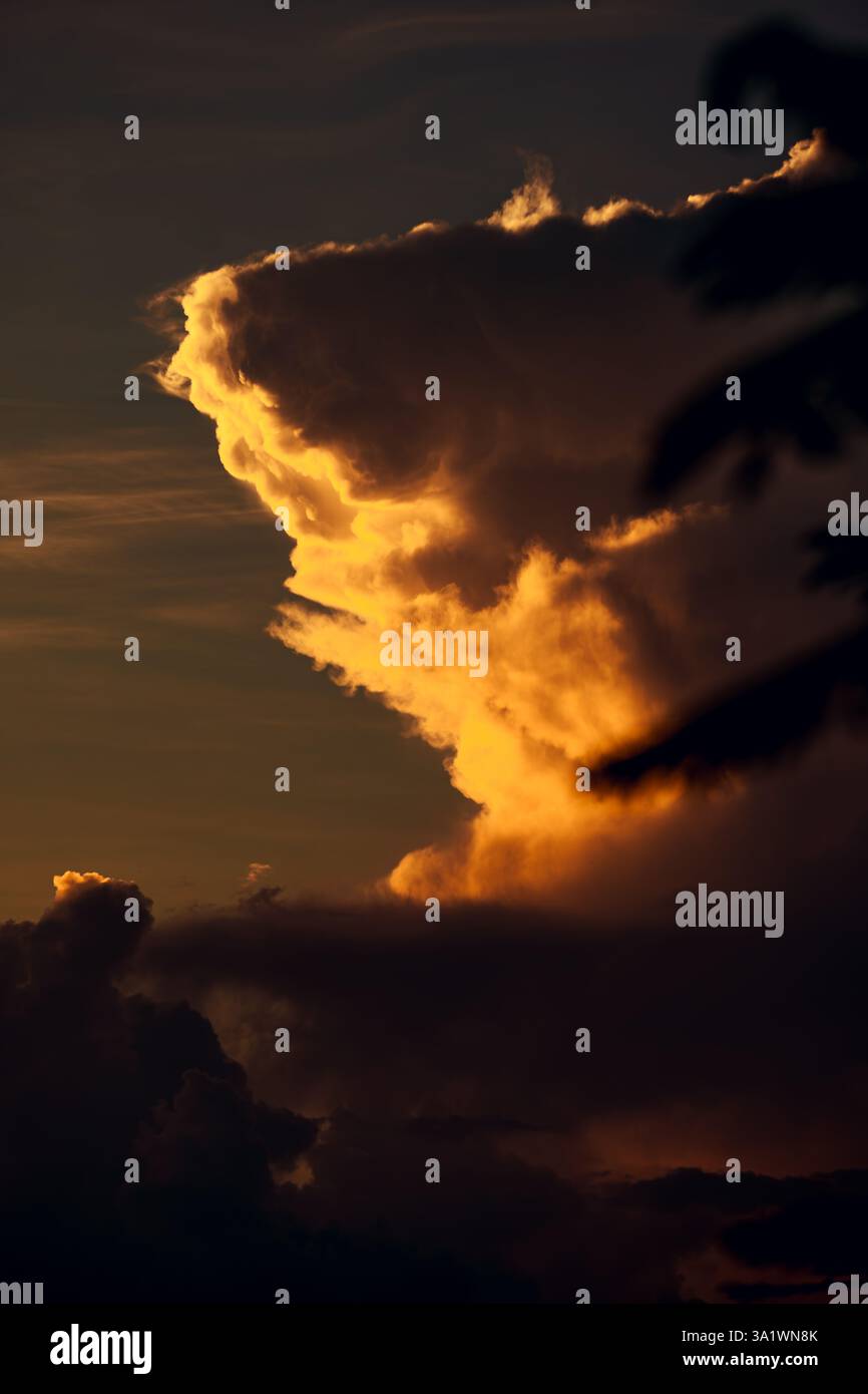 Cumulus cloud during sunset hour hi-res stock photography and images - Alamy
