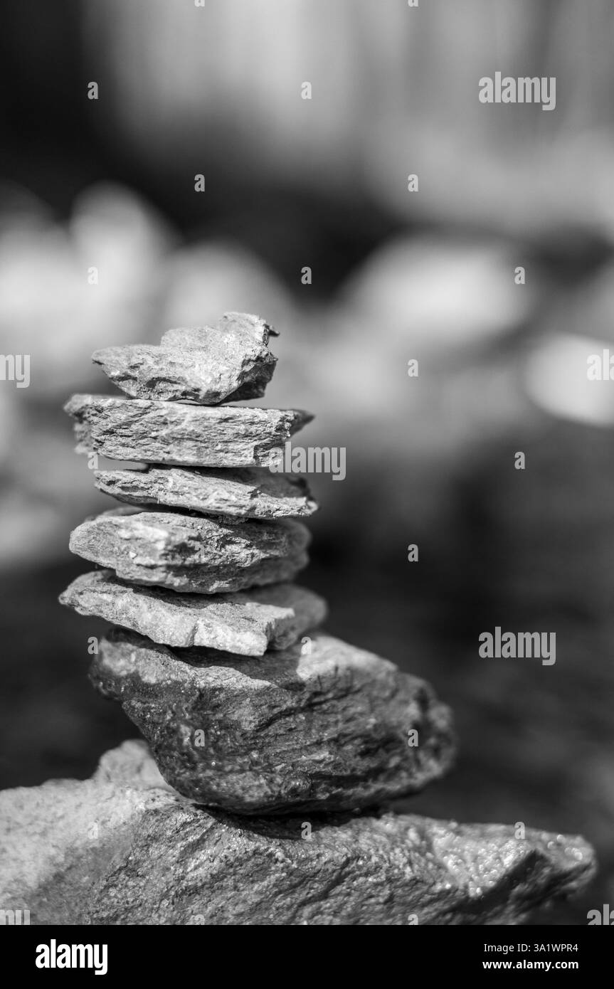 Wellbeing food Black and White Stock Photos & Images - Alamy