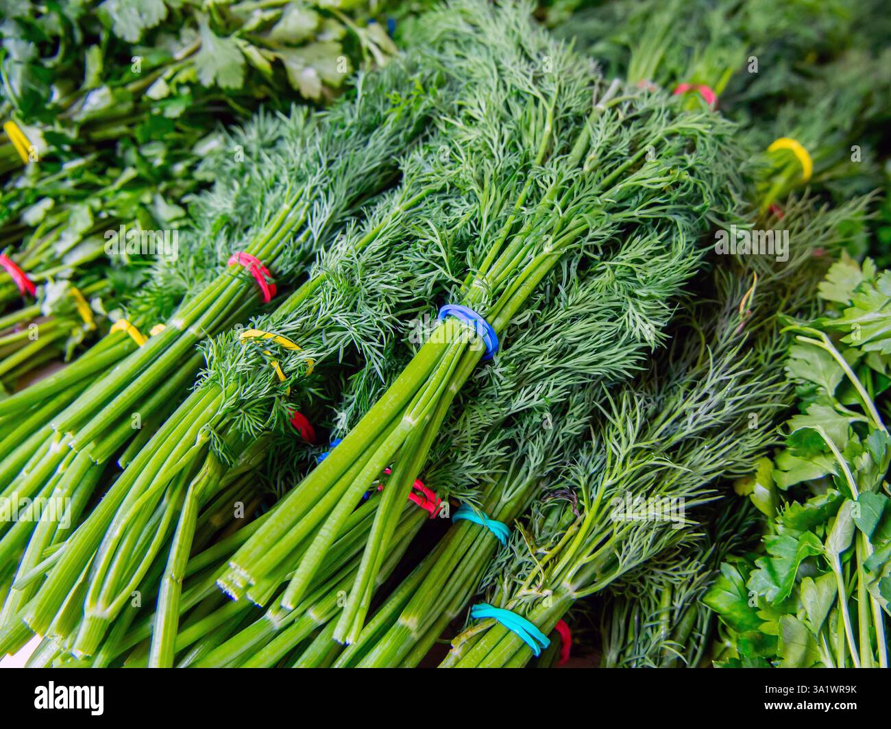 Fresh dill shoots tied into bunches on a market stall Stock Photo - Alamy