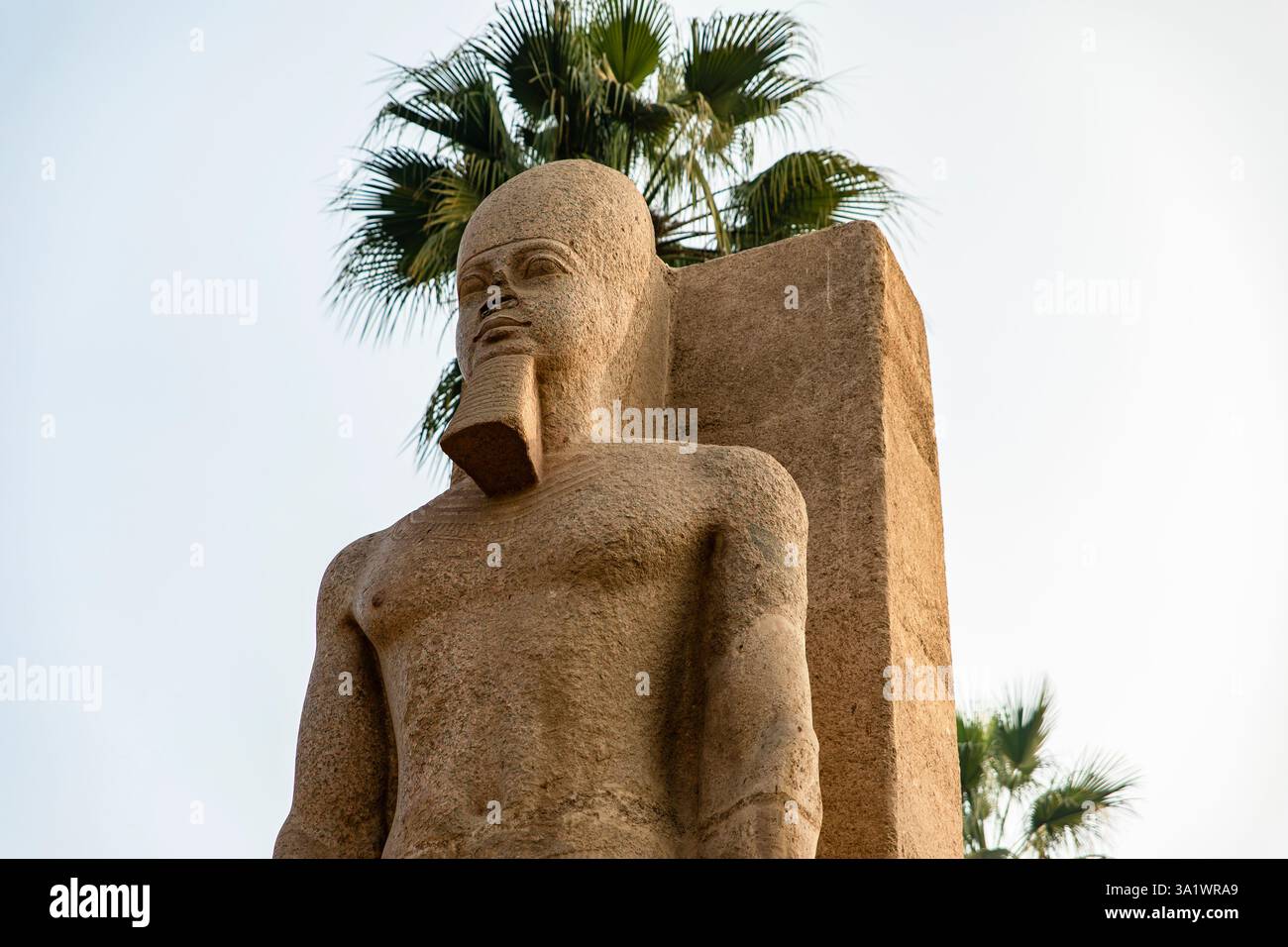 Memphis, Egypt; January 20, 2024: Admire the Ramses II Alabaster Statue ...
