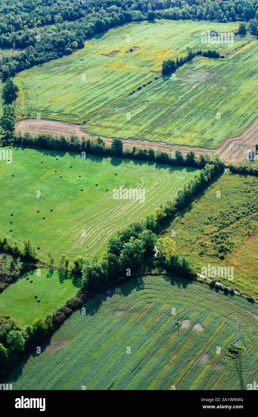 Vertical Aerial View of Farmland and Forest, with patchwork fields ...