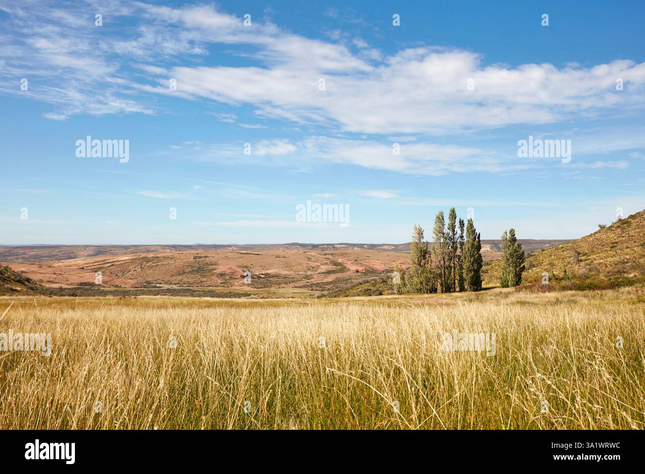 Patagonian meseta hi-res stock photography and images - Alamy