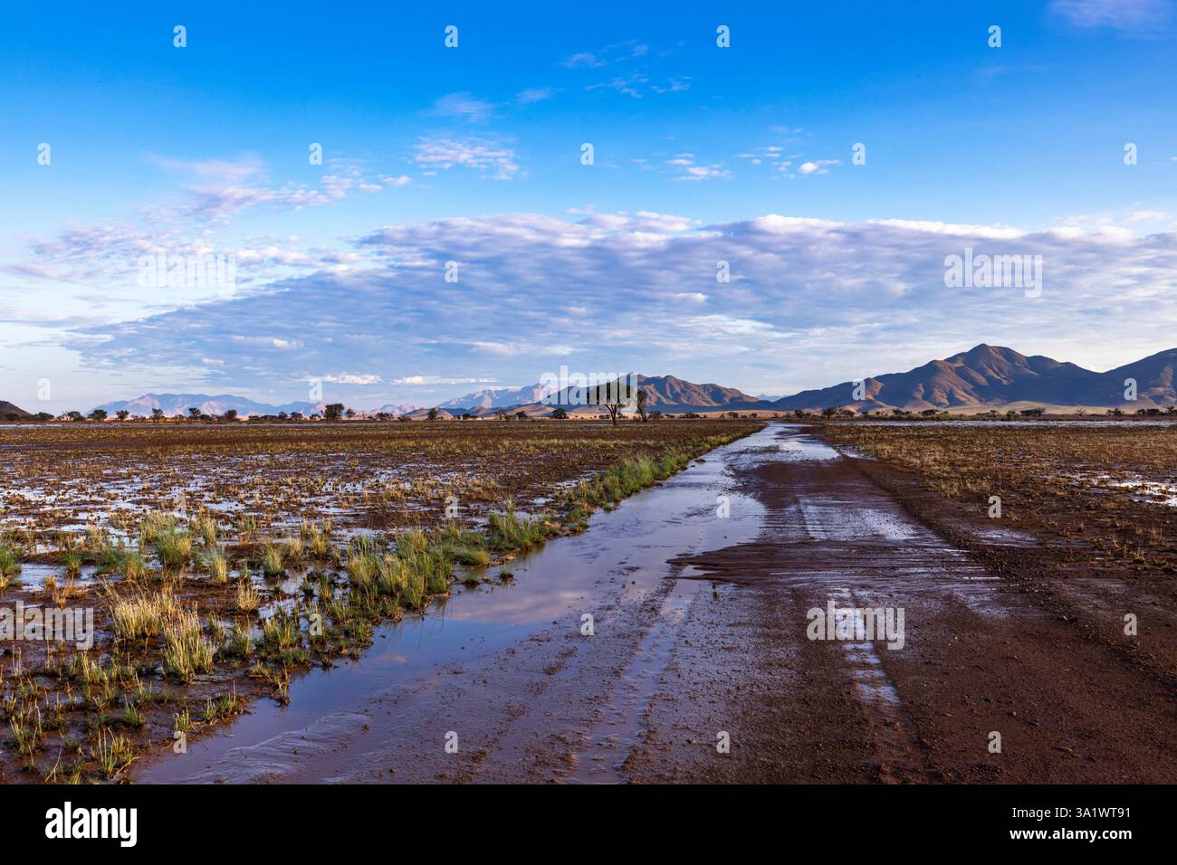 Wet gravel road after overnight rain Namibia Stock Photo - Alamy