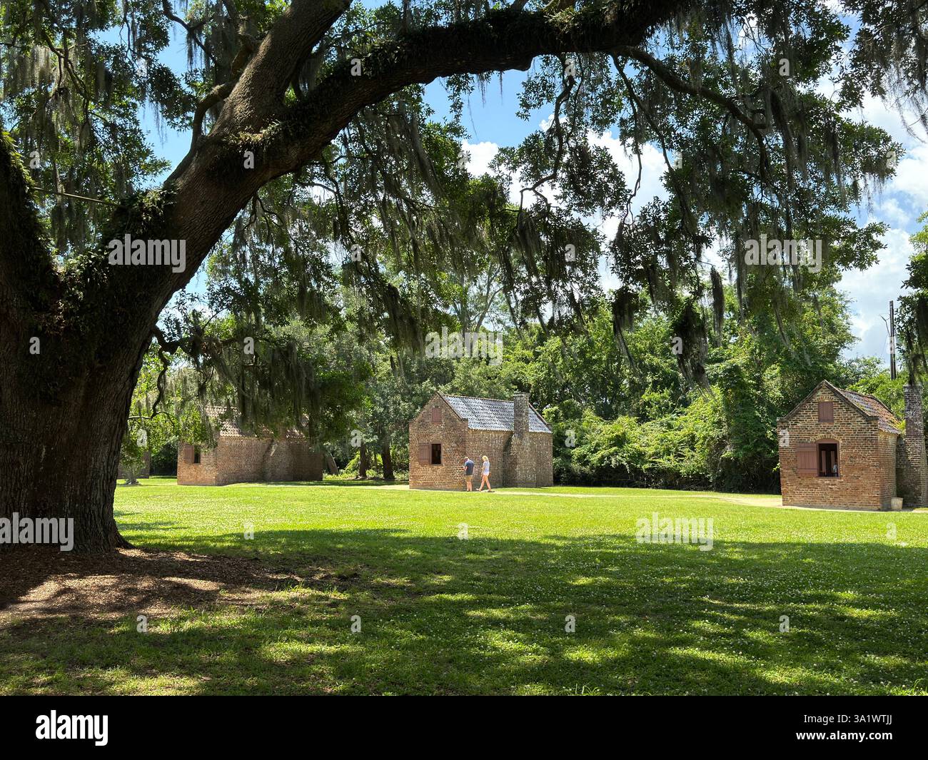 Boone Hall Plantation Plantage USA South Carolina Charleston Stock ...