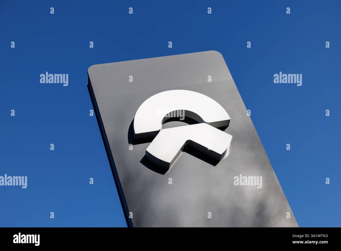 09 March 2025, Bavaria, Munich: The brand logo of Chinese car ...