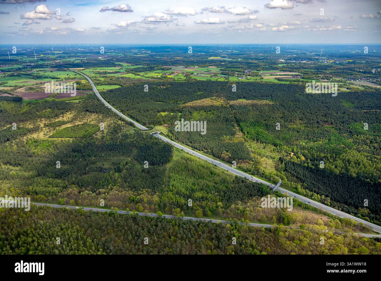 Aerial view, forest area Üfter Mark, highway A31 with green bridge or ...