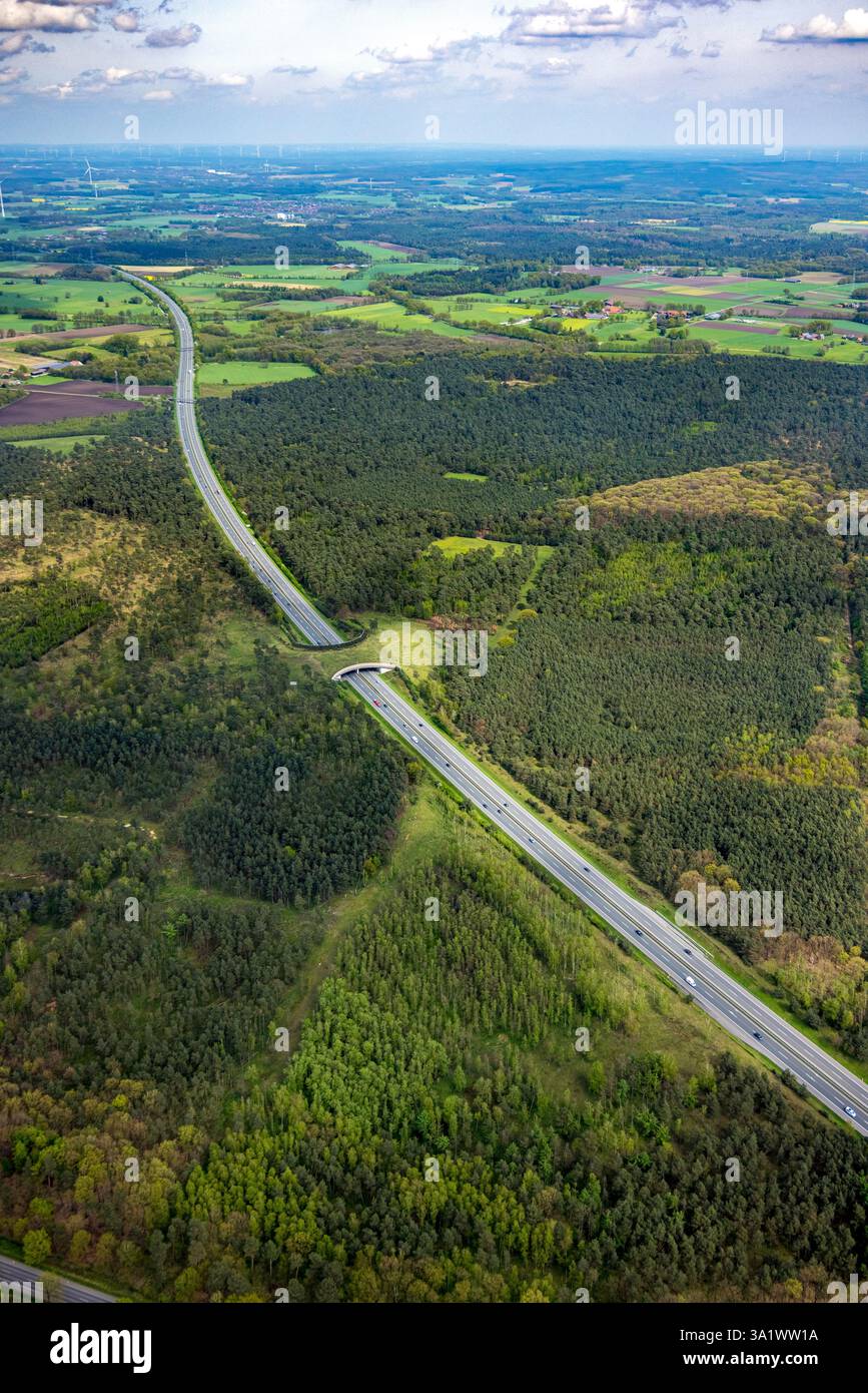Aerial view, forest area Üfter Mark, highway A31 with green bridge or ...